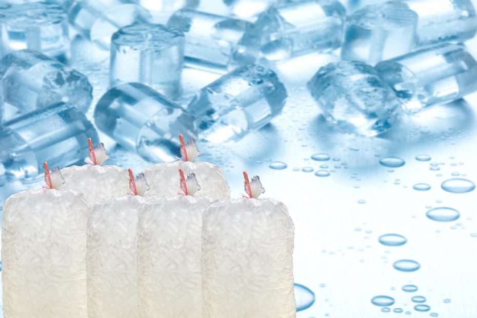 Captain Ice – Captain Ice